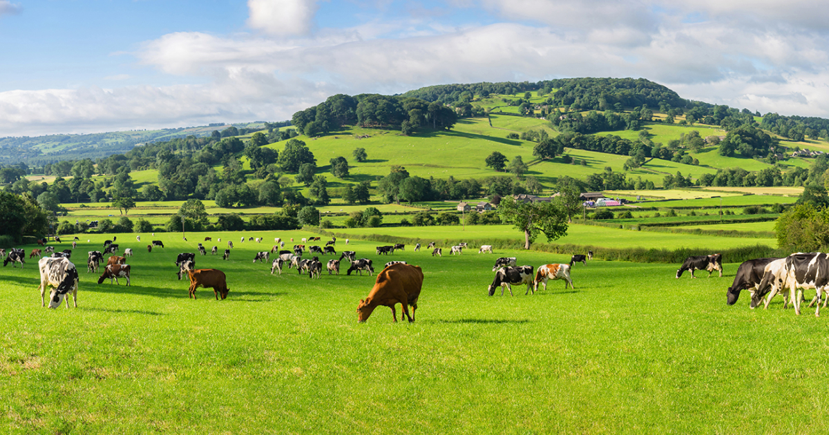 Production laitière - Association québécoise du propane